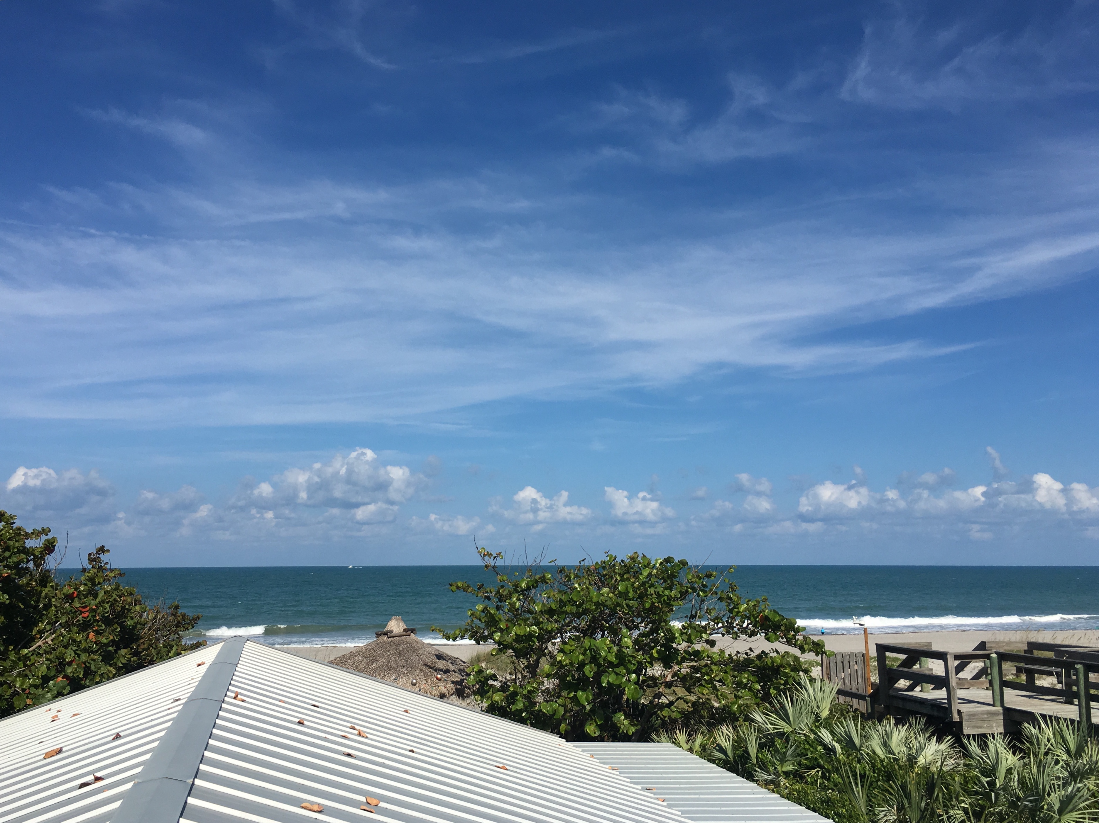 IMG_1890 | CFLsurf